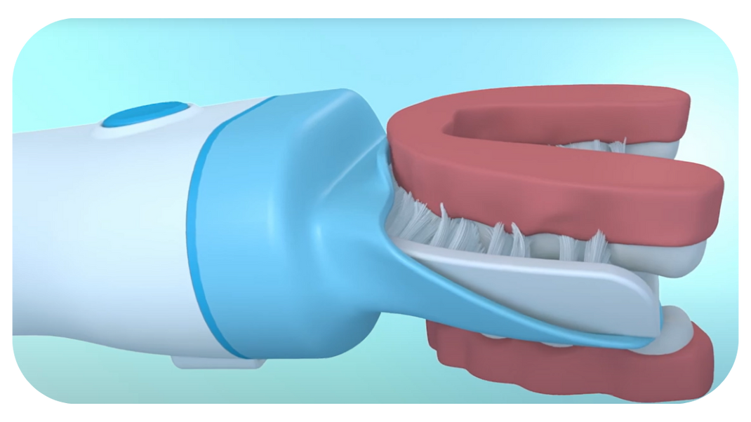 Dental Professionals | Automatic Kids Toothbrush – Willo